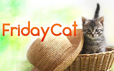 Friday Catを聴く | radiko(ラジコ) | ラジオやポッドキャストがスマホ・PCで聴ける